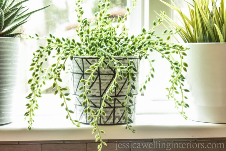 How to Style Indoor Plants: 6 Designer Tips - Jessica Welling Interiors