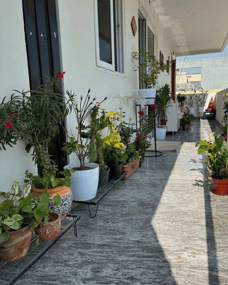 21 Balcony Garden Ideas For Apartments - Jessica Welling Interiors